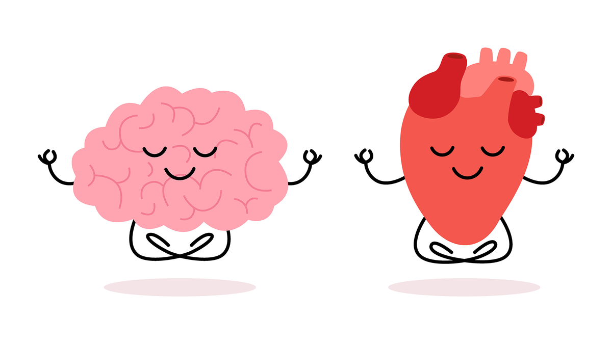 The Mind-Heart Connection: How Mental Health Affects Cardiovascular We ...